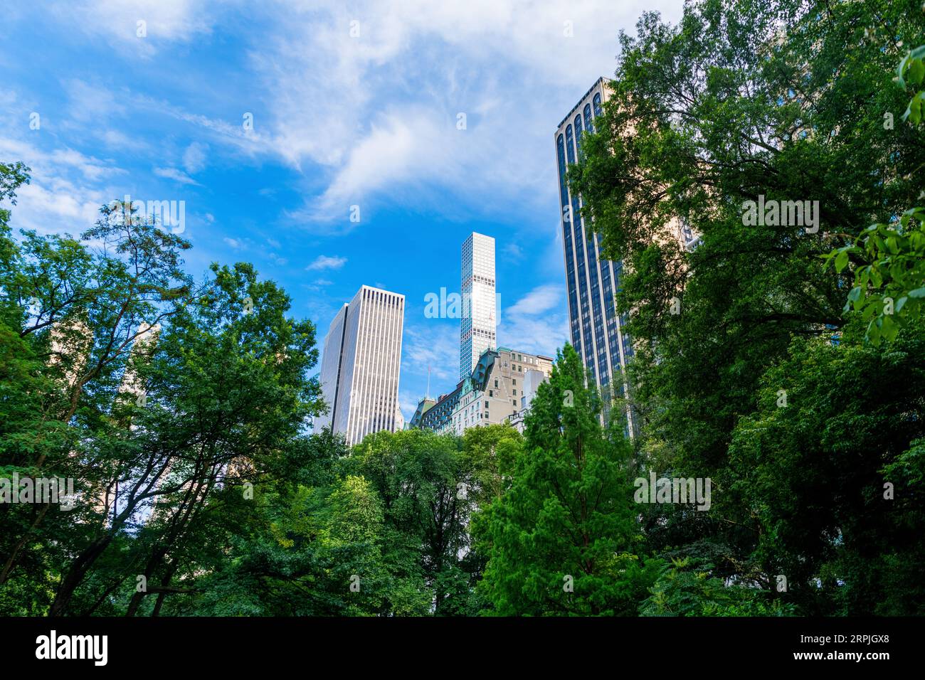 USA, New York City wtih Skyscraper around Central Park. city nature ...