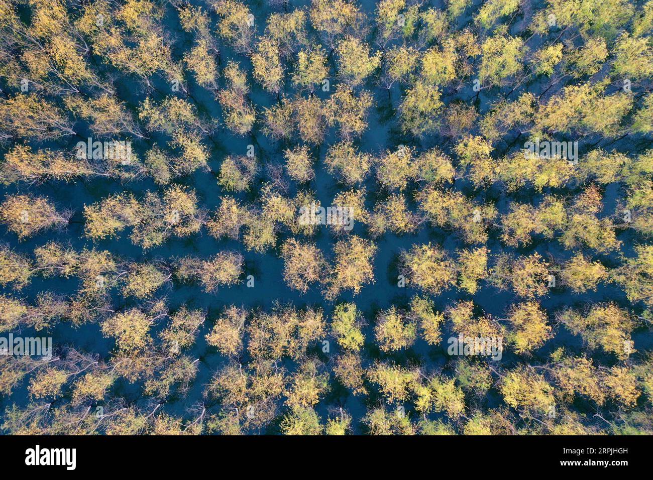 191211 -- NANYANG, Dec. 11, 2019 -- Aerial photo taken on Dec. 10, 2019 ...