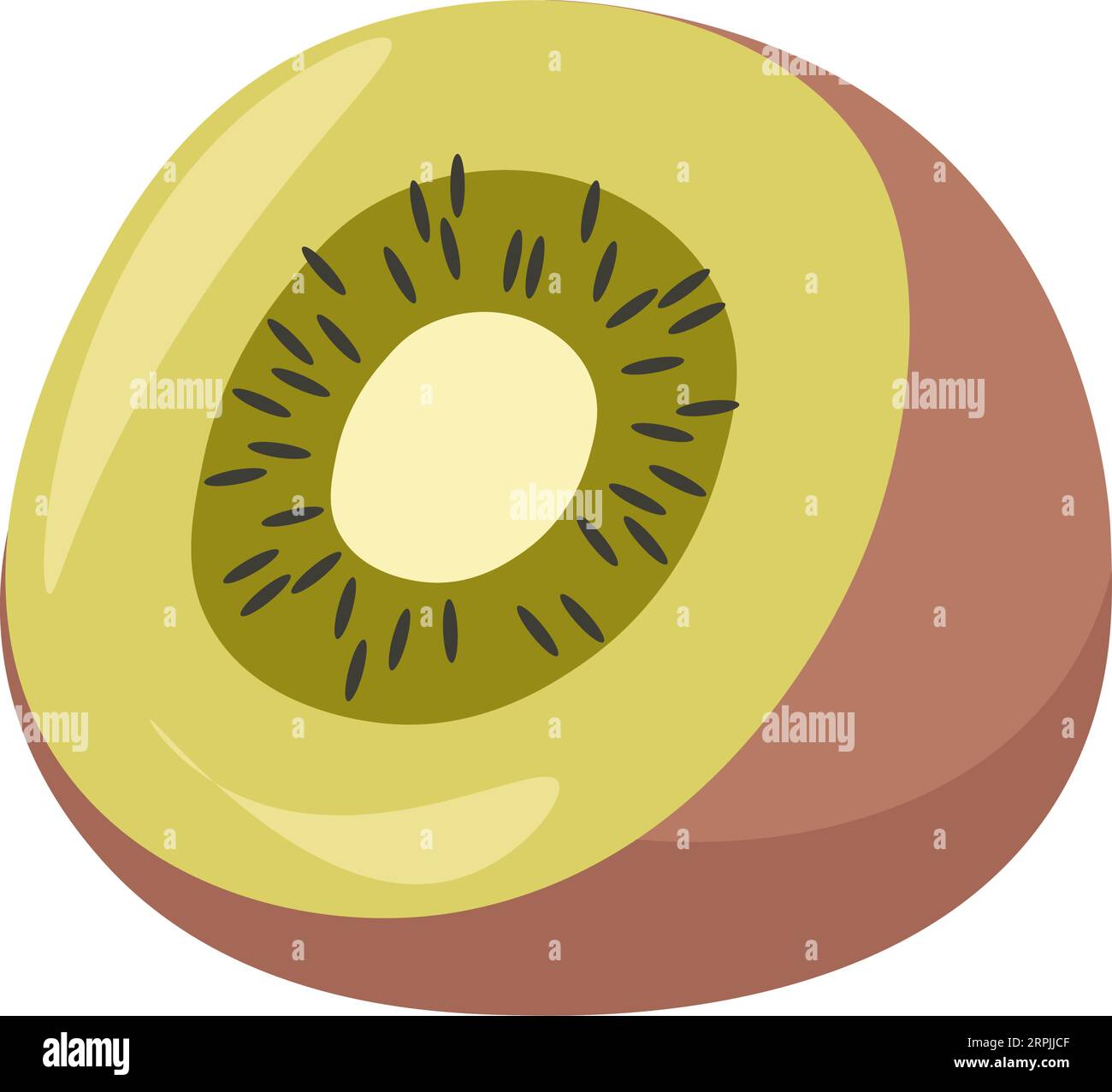 Kiwi tropical fruit, healthy exotic products food Stock Vector Image ...