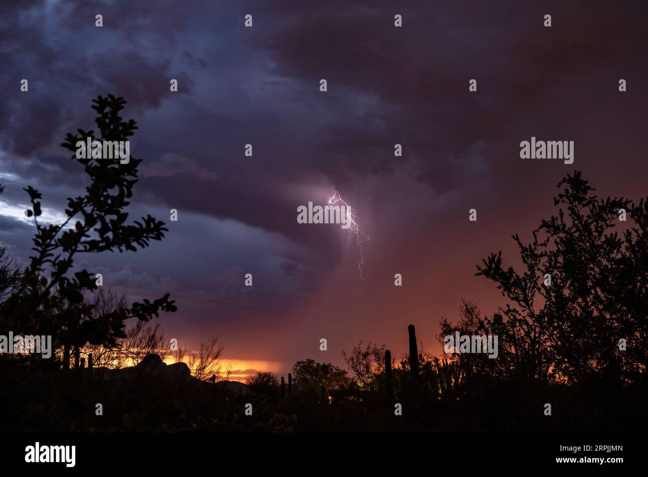 Sonoran desert monsoon storm at sunset with lightning Stock Photo - Alamy