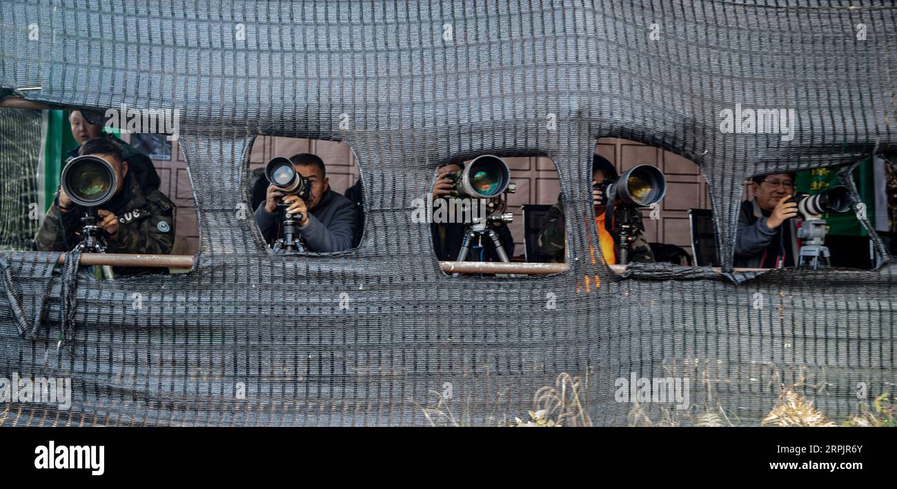 Shutterbugs hi-res stock photography and images - Alamy