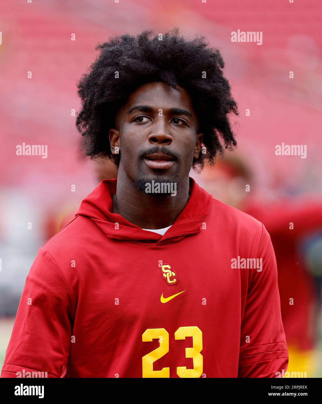 Wolf in los hi-res stock photography and images - Alamy