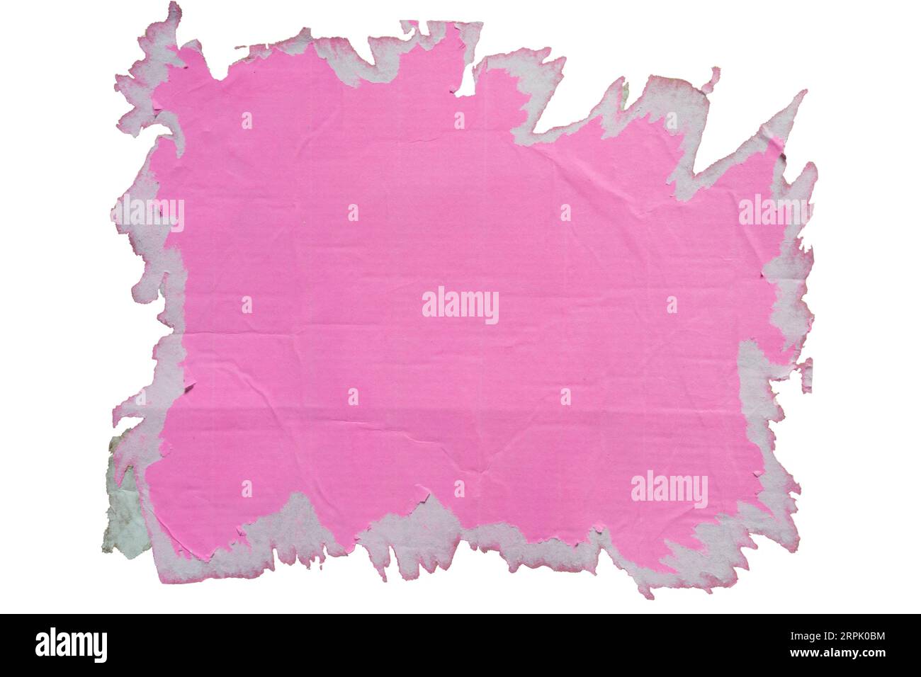Peeled pink poster paper on white background with clipping path Stock ...