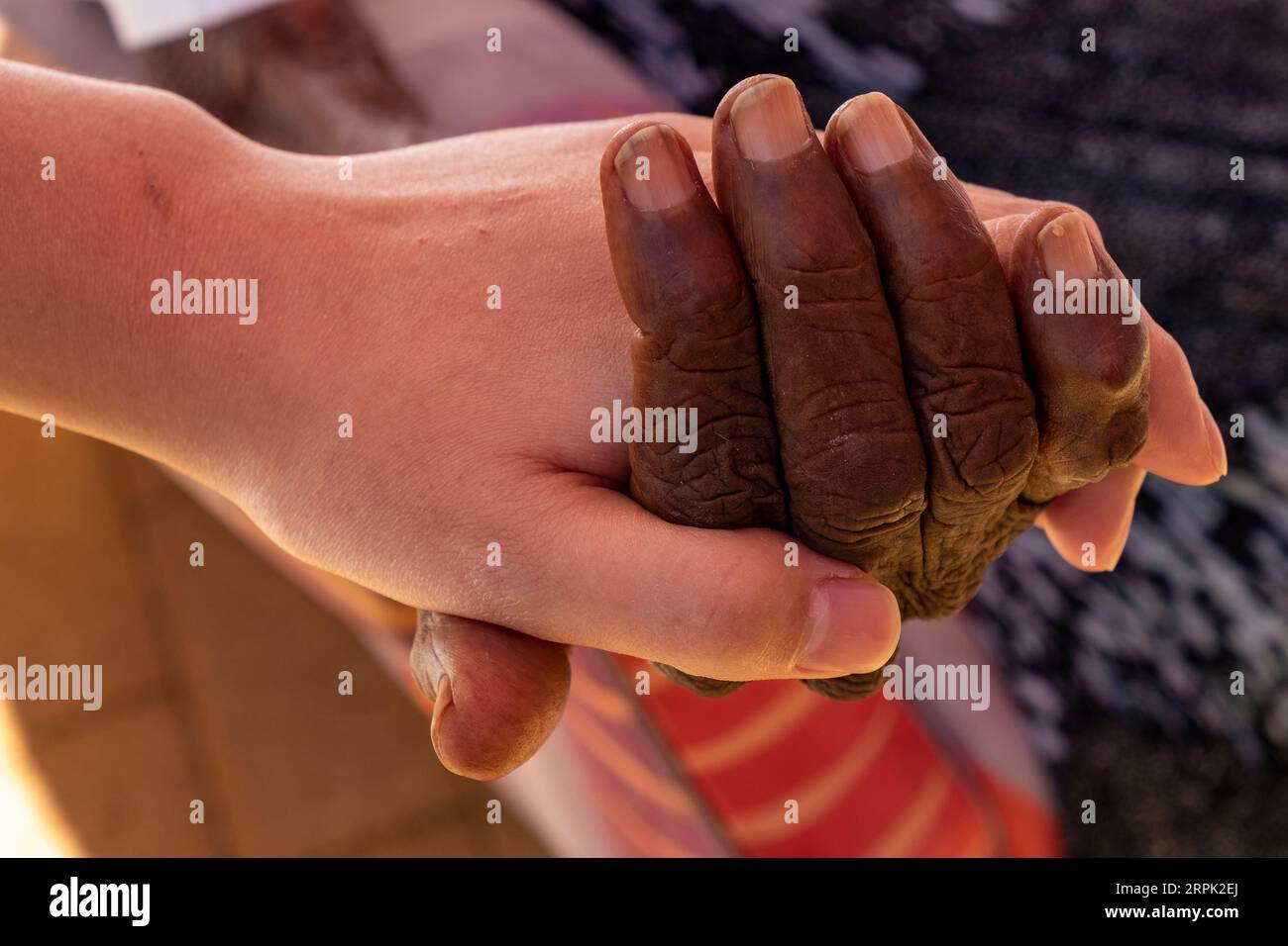 Carers hand caressing the hand of an aged Indigenous woman at an aged ...