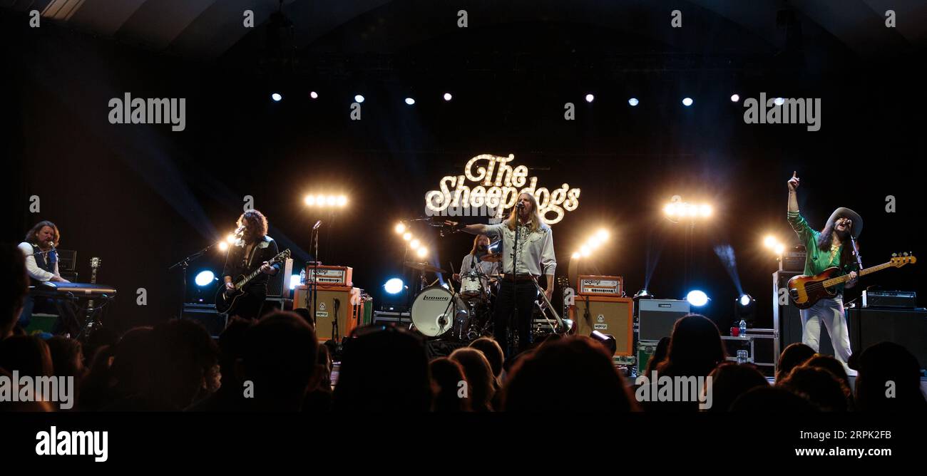 The Sheepdogs performing at the CNE Bandshell in Toronto Stock Photo ...