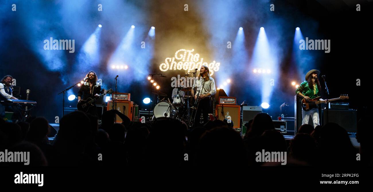 The Sheepdogs performing at the CNE Bandshell in Toronto Stock Photo ...