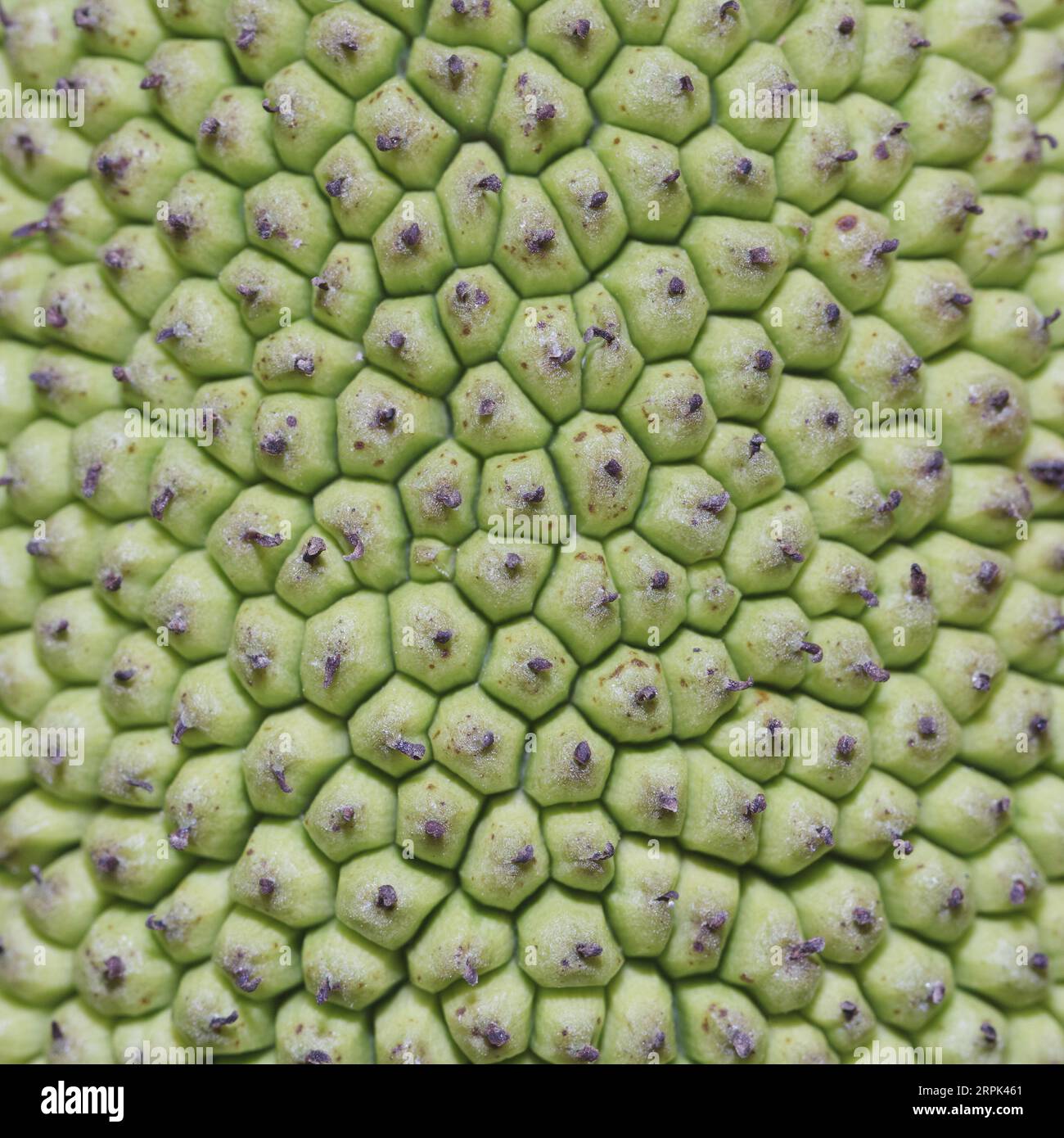 Peel texture hi-res stock photography and images - Alamy