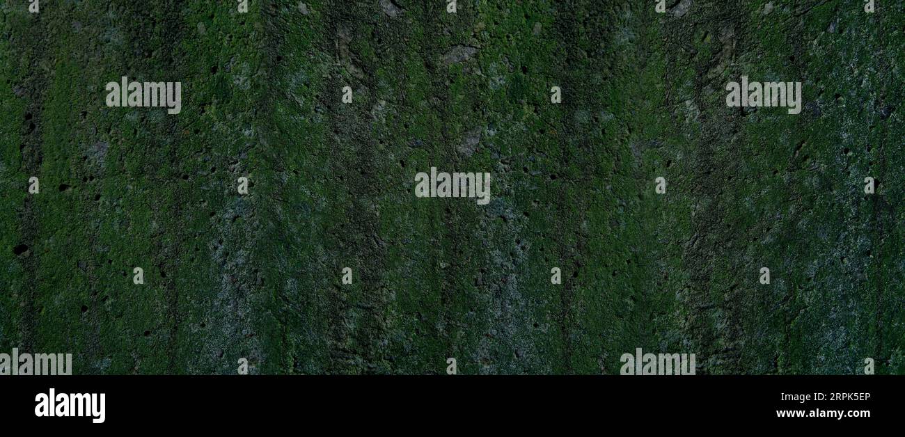 concrete wall with moss and lichen Stock Photo - Alamy