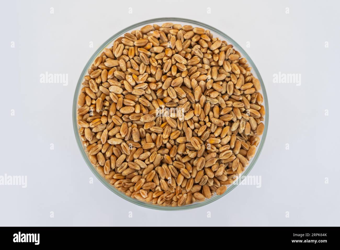 Wheat gruel hi-res stock photography and images - Alamy