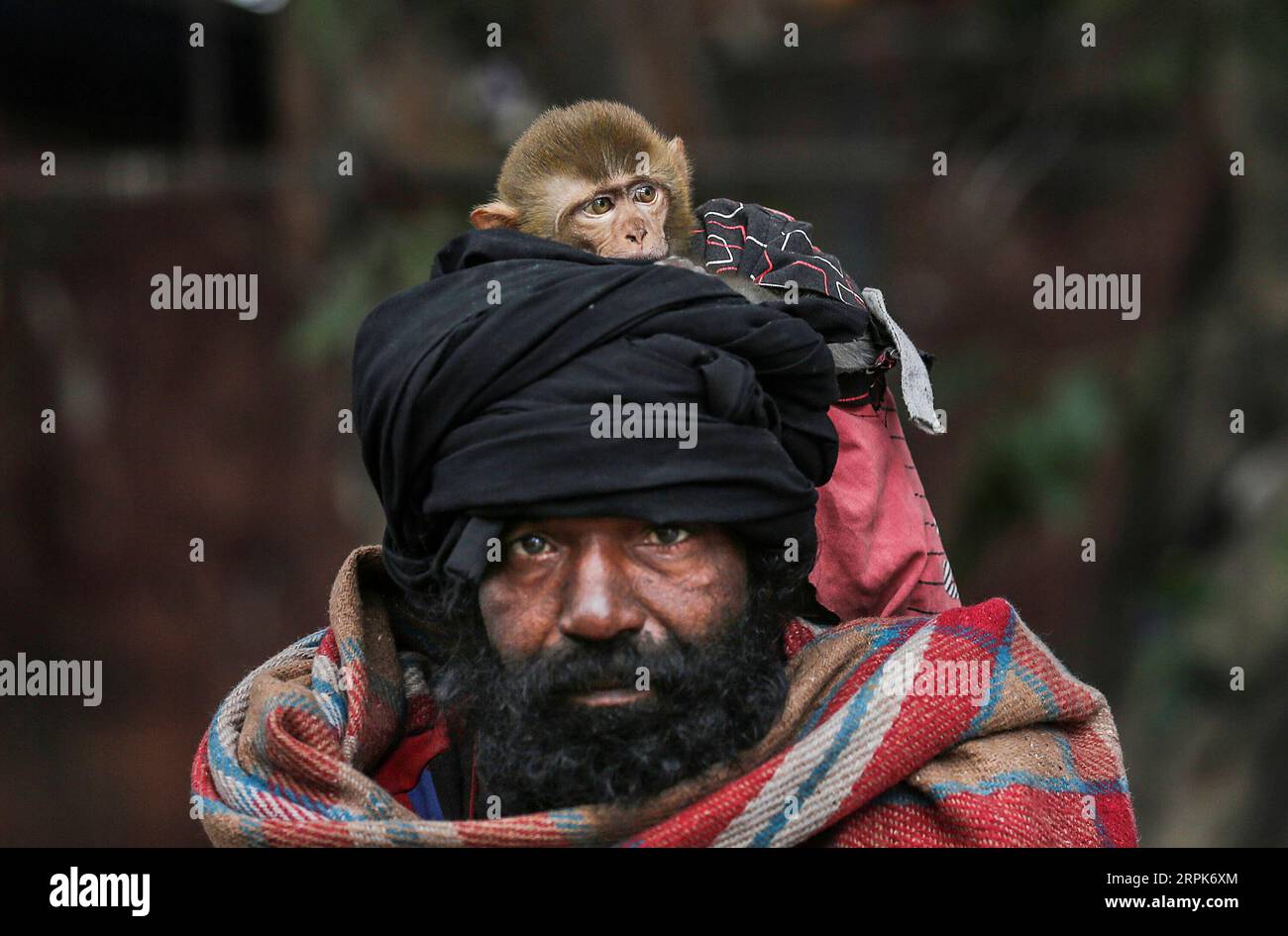 Monkey man of delhi hi-res stock photography and images - Alamy