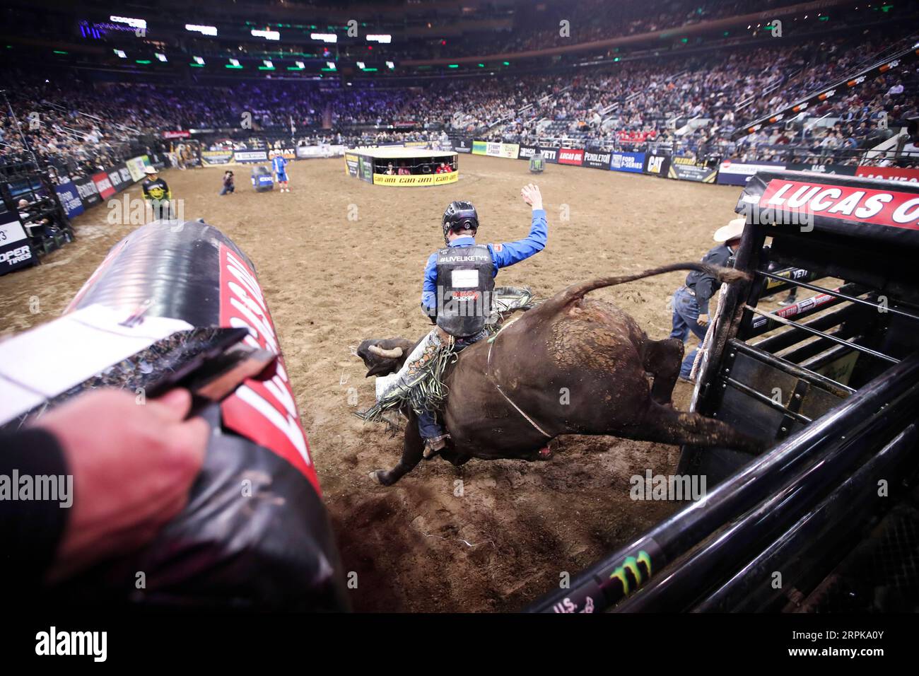 200105 -- BEIJING, Jan. 5, 2020 -- Dakota Buttar rides on bull Twinkle ...