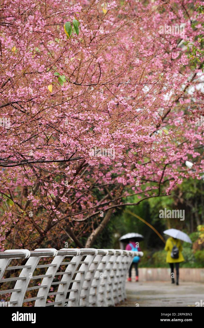 200106 -- GUIYANG, Jan. 6, 2020 -- Photo taken on Jan. 6, 2020 shows ...