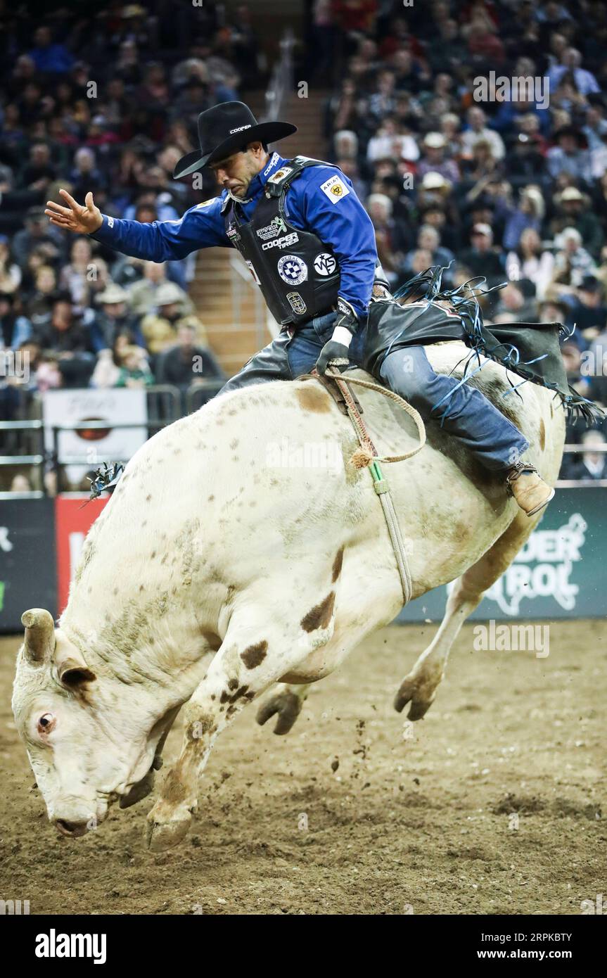 Professional bull riders hi-res stock photography and images - Alamy