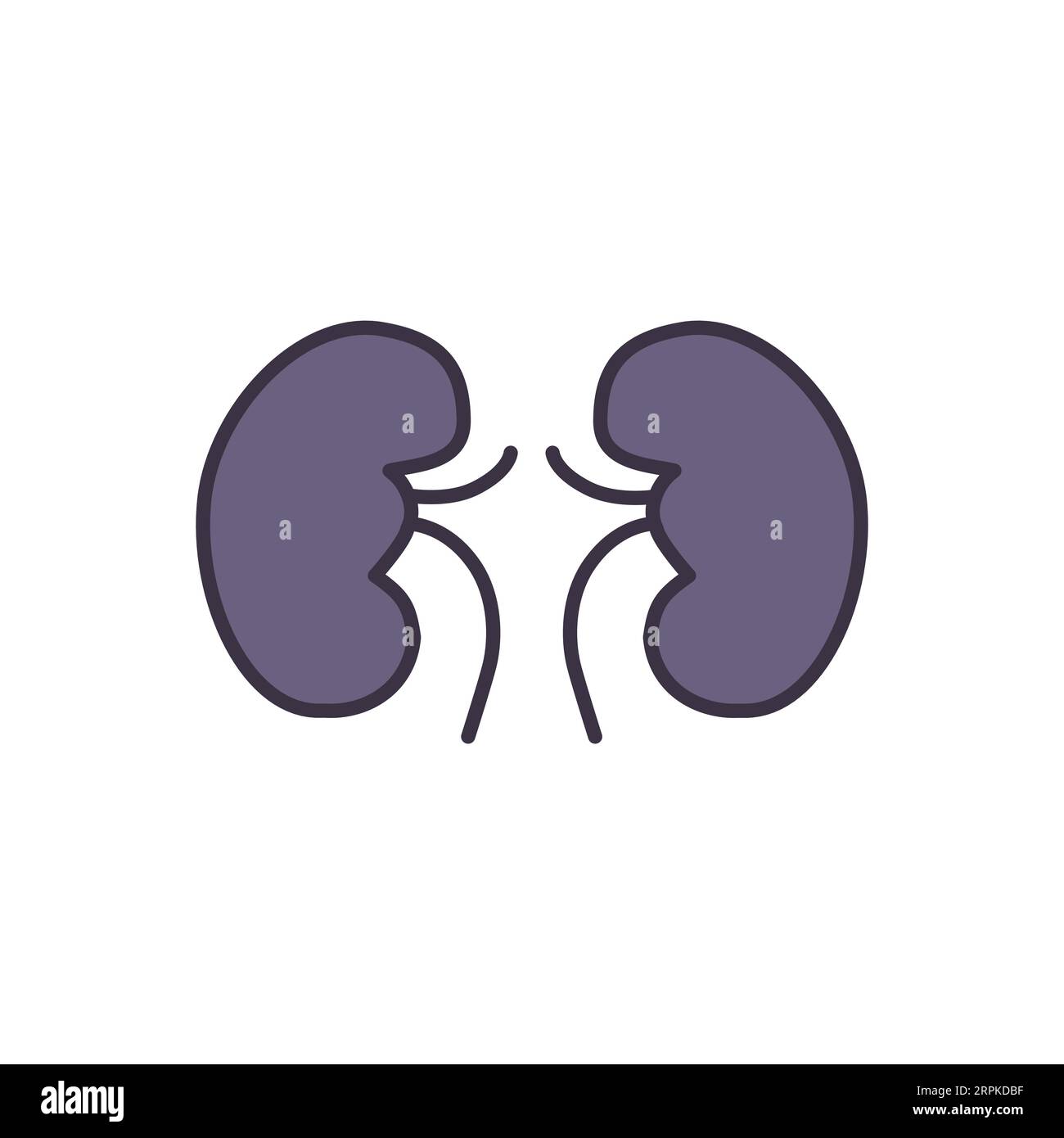Kidney Vector Icon. Isolated on the White Background. Editable EPS file. Vector illustration ...