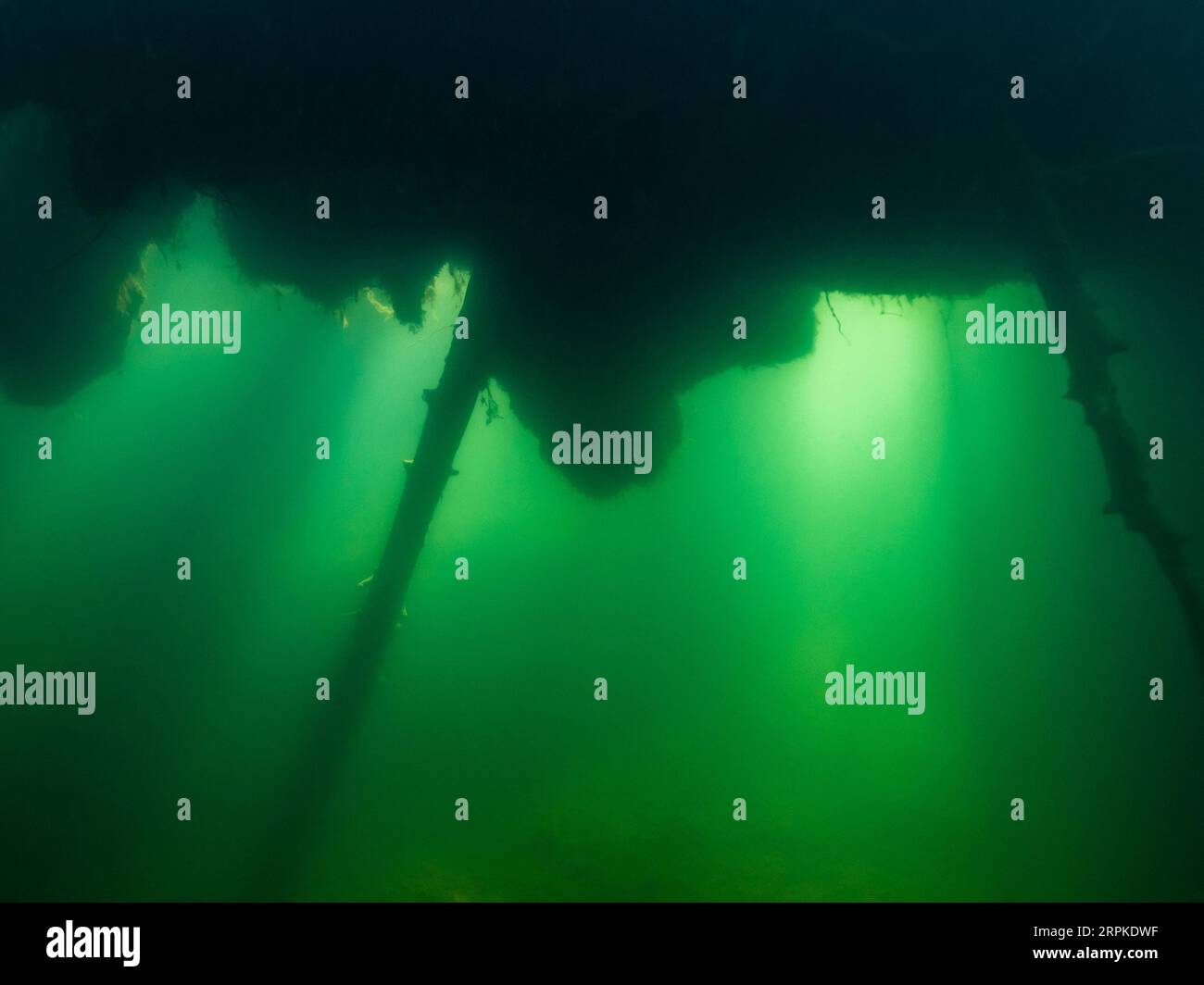 Underwater sunrays below floating peat layer at bog lake Stock Photo ...