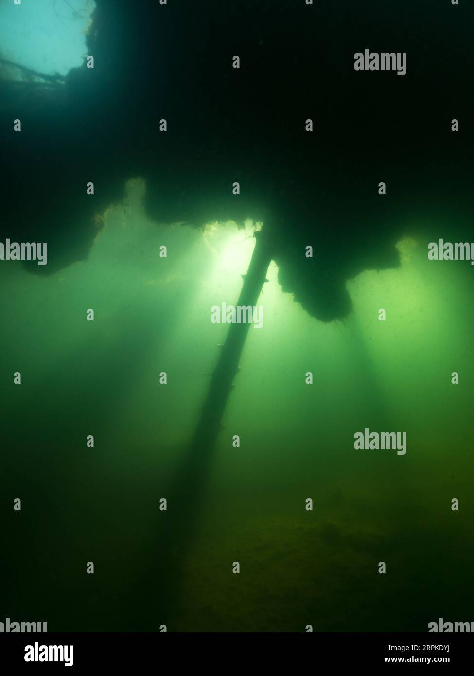 Underwater sunrays below floating peat layer at bog lake Stock Photo ...