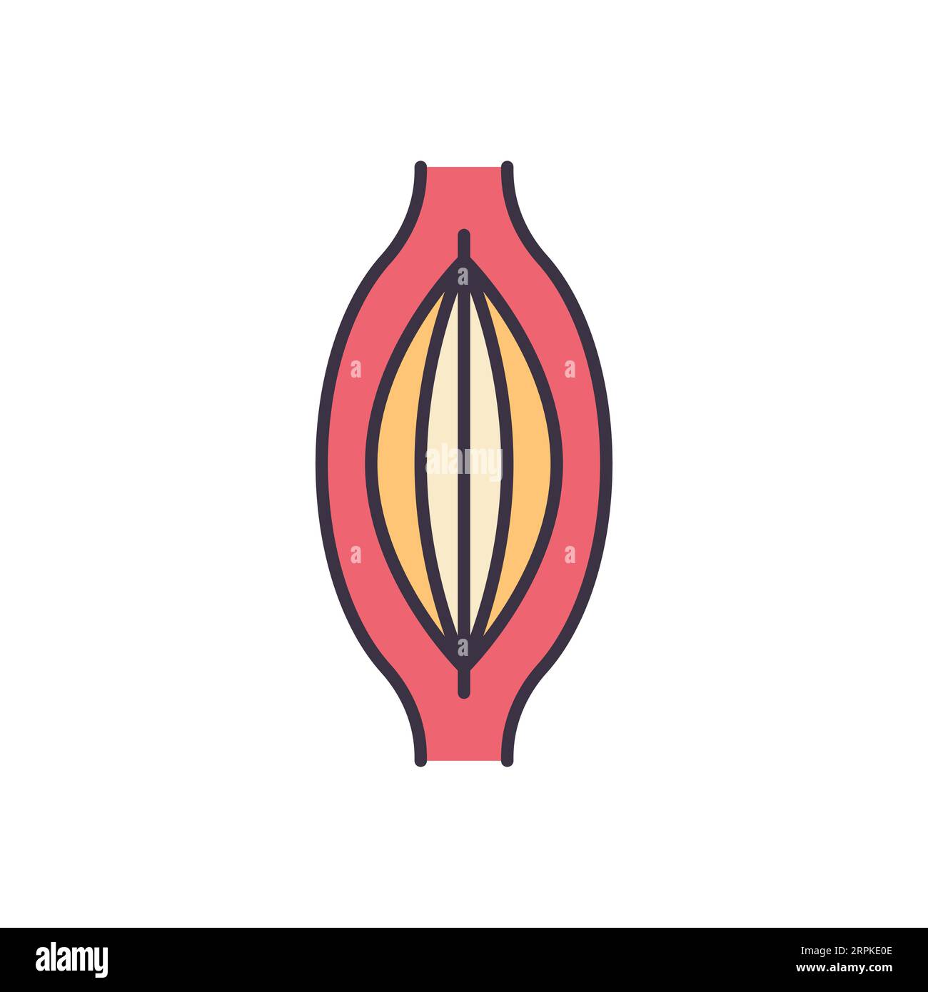 Muscle Related Vector Icon. Muscle sign. Isolated on White Background ...