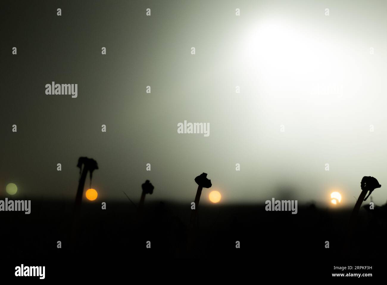 Day and night shade hi-res stock photography and images - Alamy