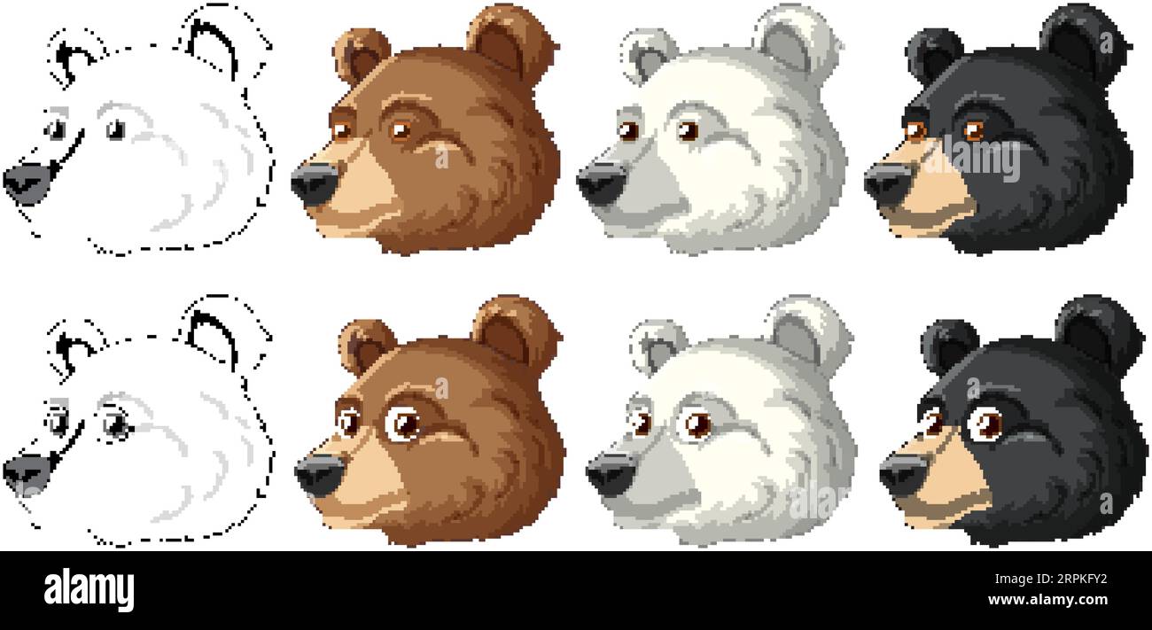Set of different bear species illustrated in a vector cartoon style ...