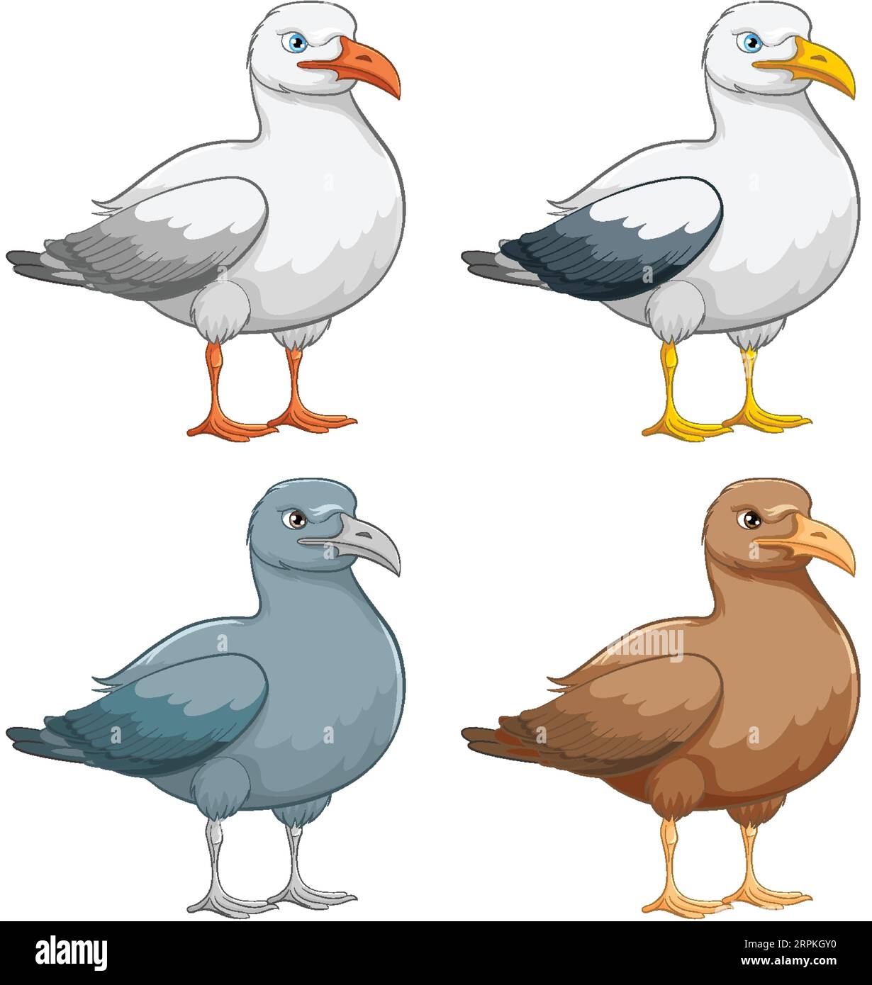 Four seagulls are standing isolated on a white background in a vector ...
