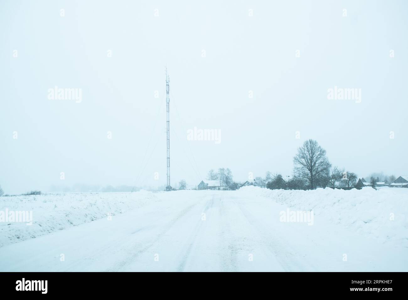 Frozen Winter Landscape: White Snow Blankets Chilly Environment in ...