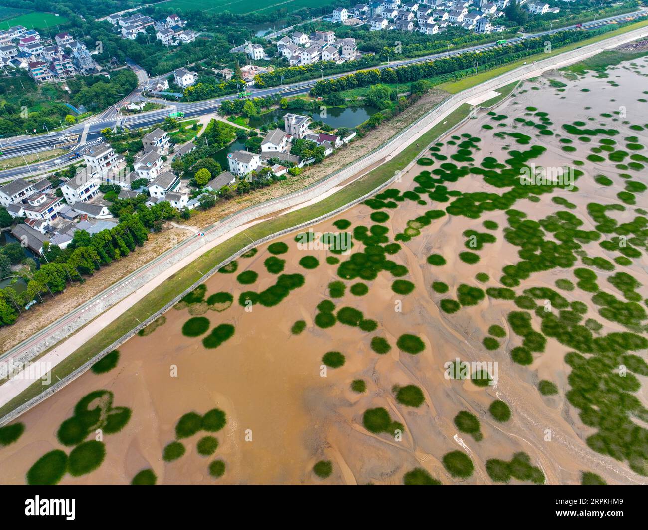 Aerial photo shows the tidal-flat presenting a landscape of a tree in ...