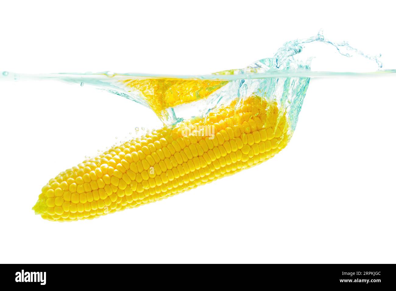 Close-up of a husked corn cob dropped underwater with splashes on white ...