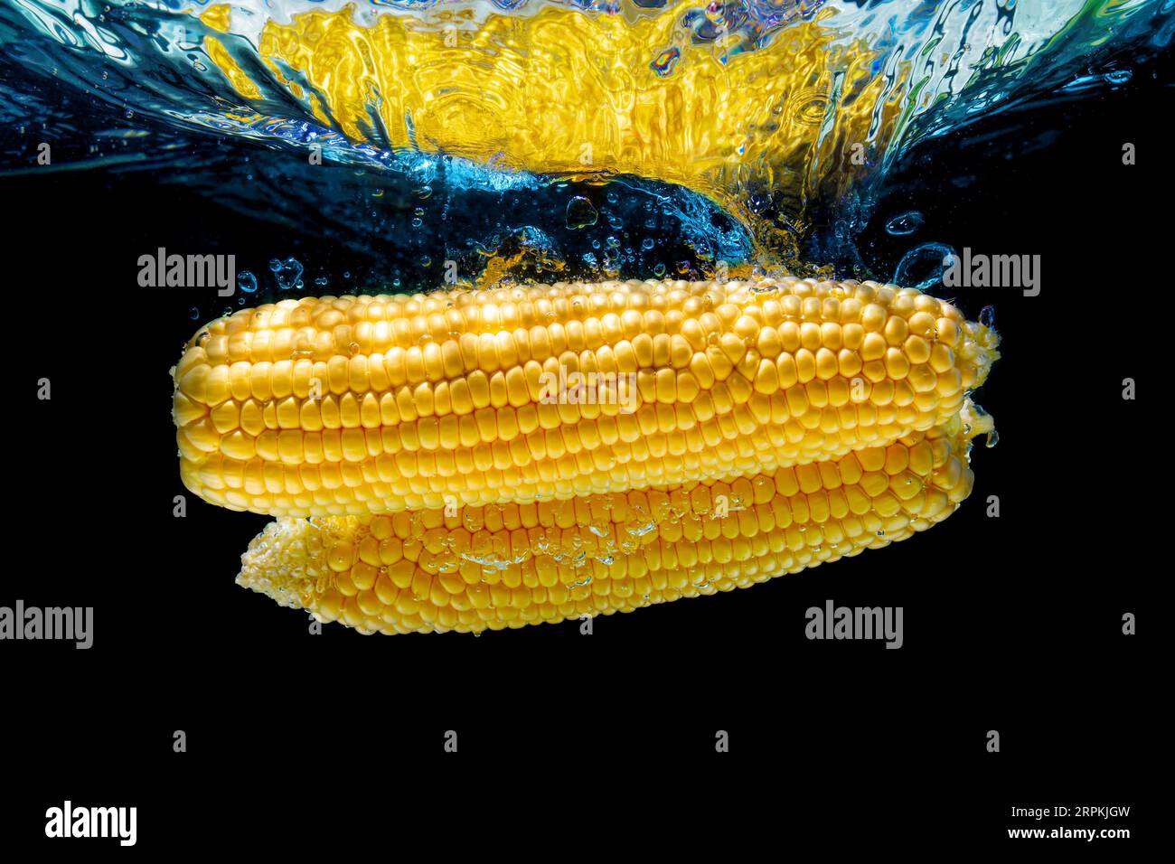 Pair of ripe sweet corn cobs going underwater with swirls and bubble ...