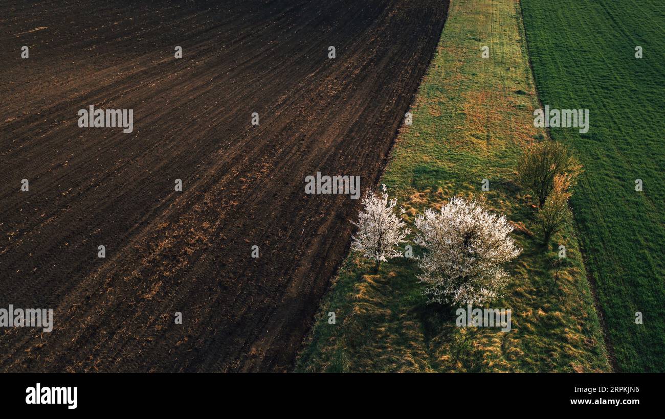 Aerial tree landscape hi-res stock photography and images - Alamy