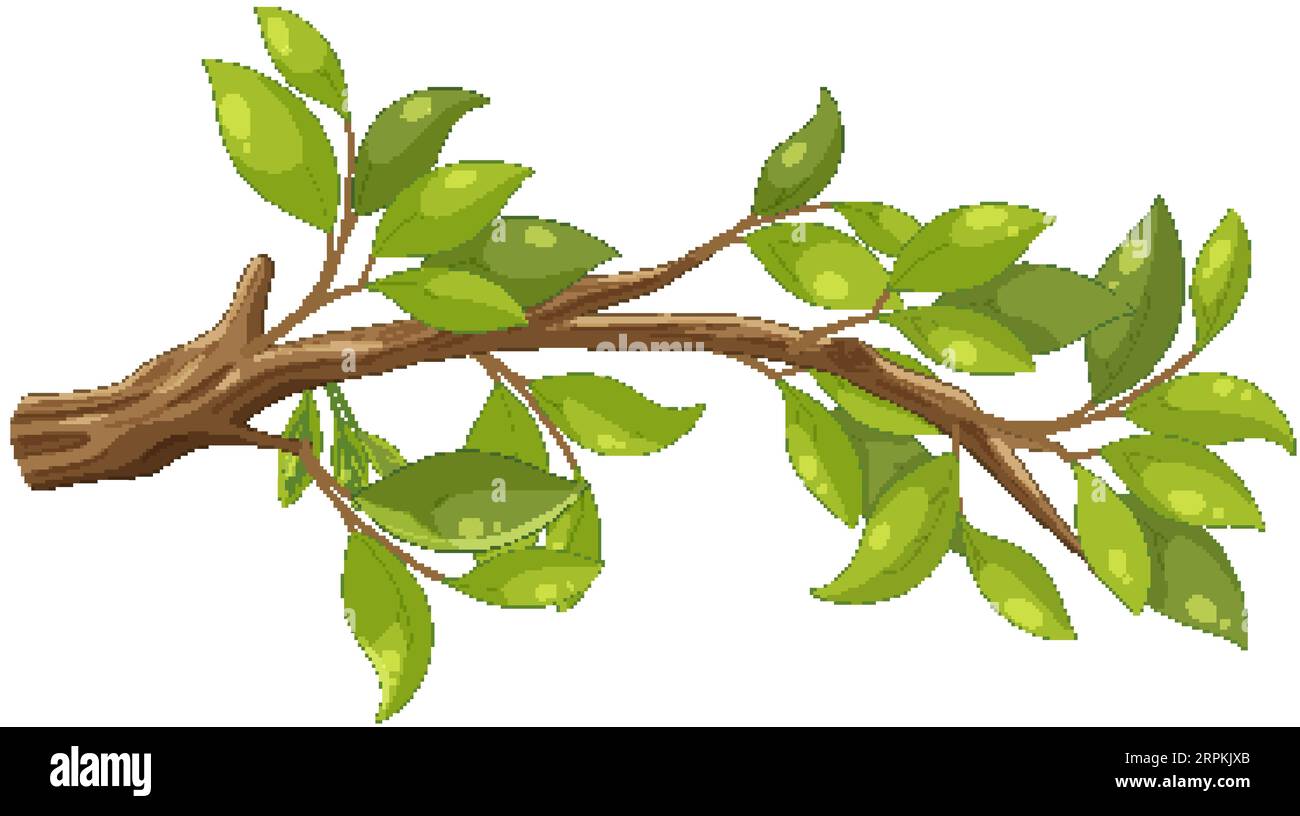 A cartoon vector illustration of a tree branch with green leaves Stock ...