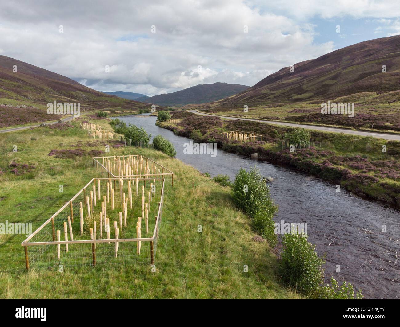 Tree planting to shade river part of river clunie retoration project ...