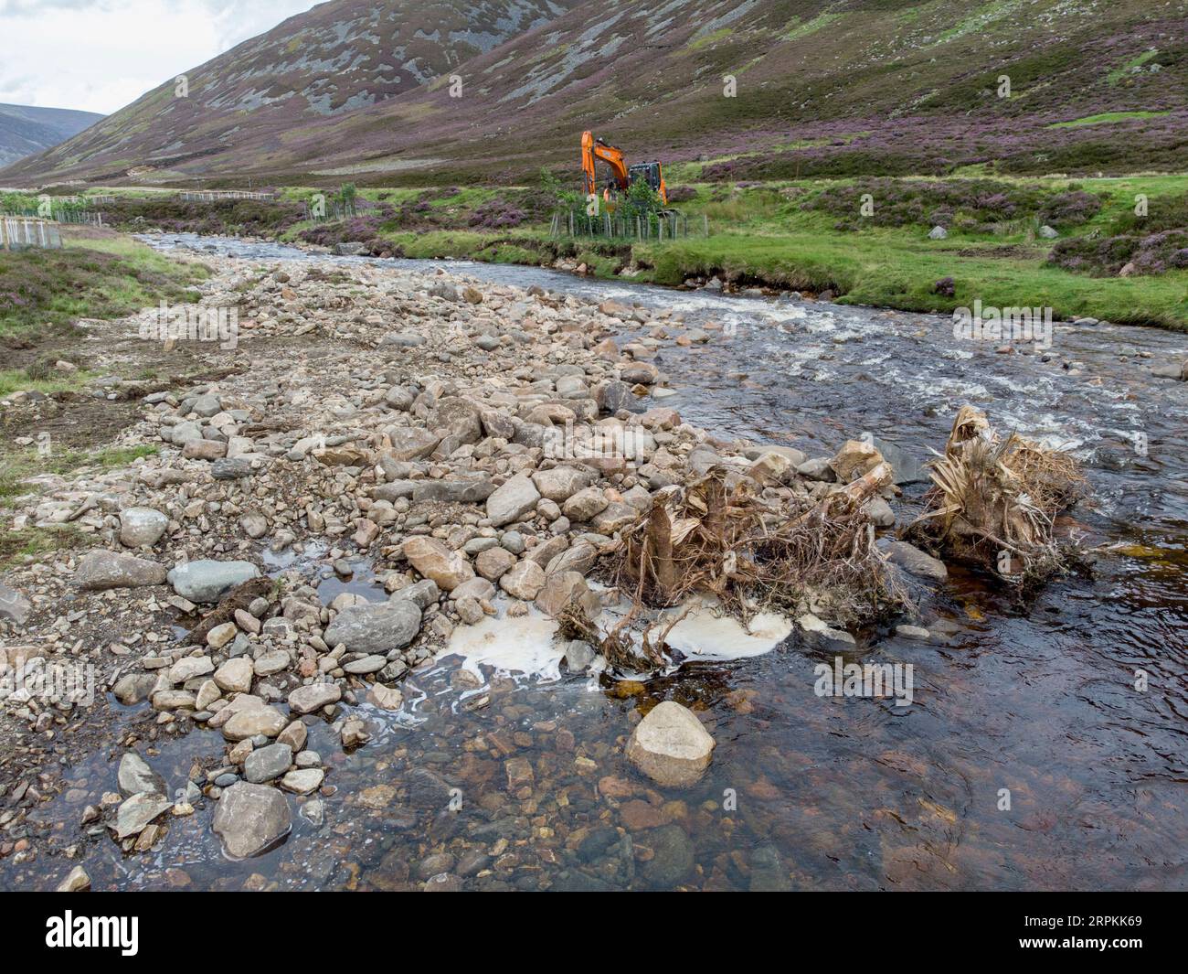 Creating natural barriers on the river clunie using trees and creating ...