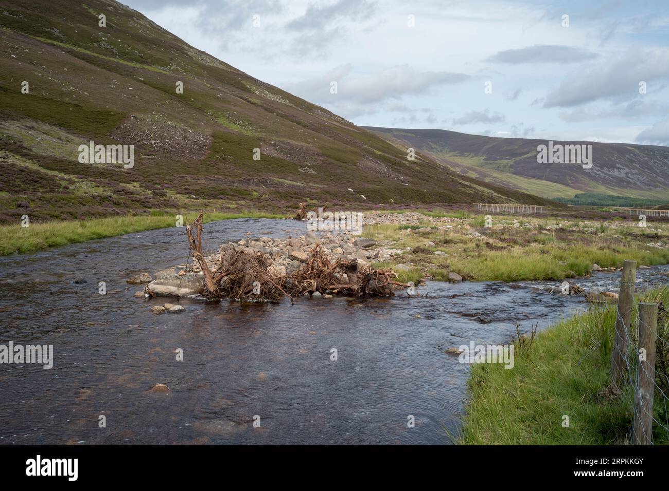 Creating natural barriers on the river clunie using trees and creating ...