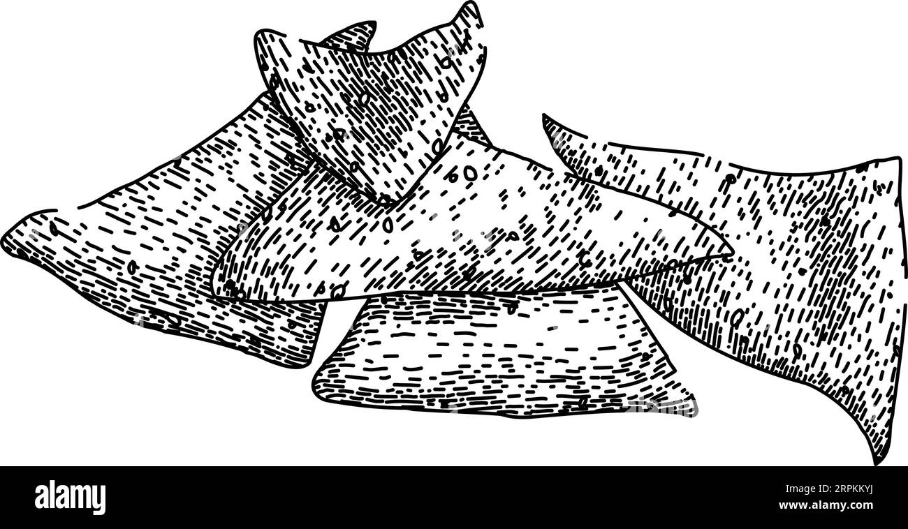 snack nachos sketch hand drawn vector Stock Vector Image & Art - Alamy