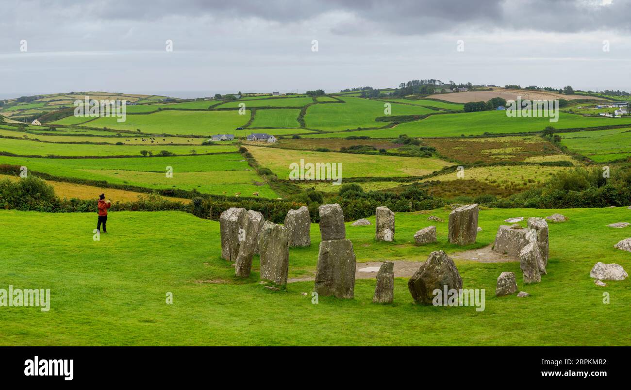 Elongated plant structures hi-res stock photography and images - Alamy