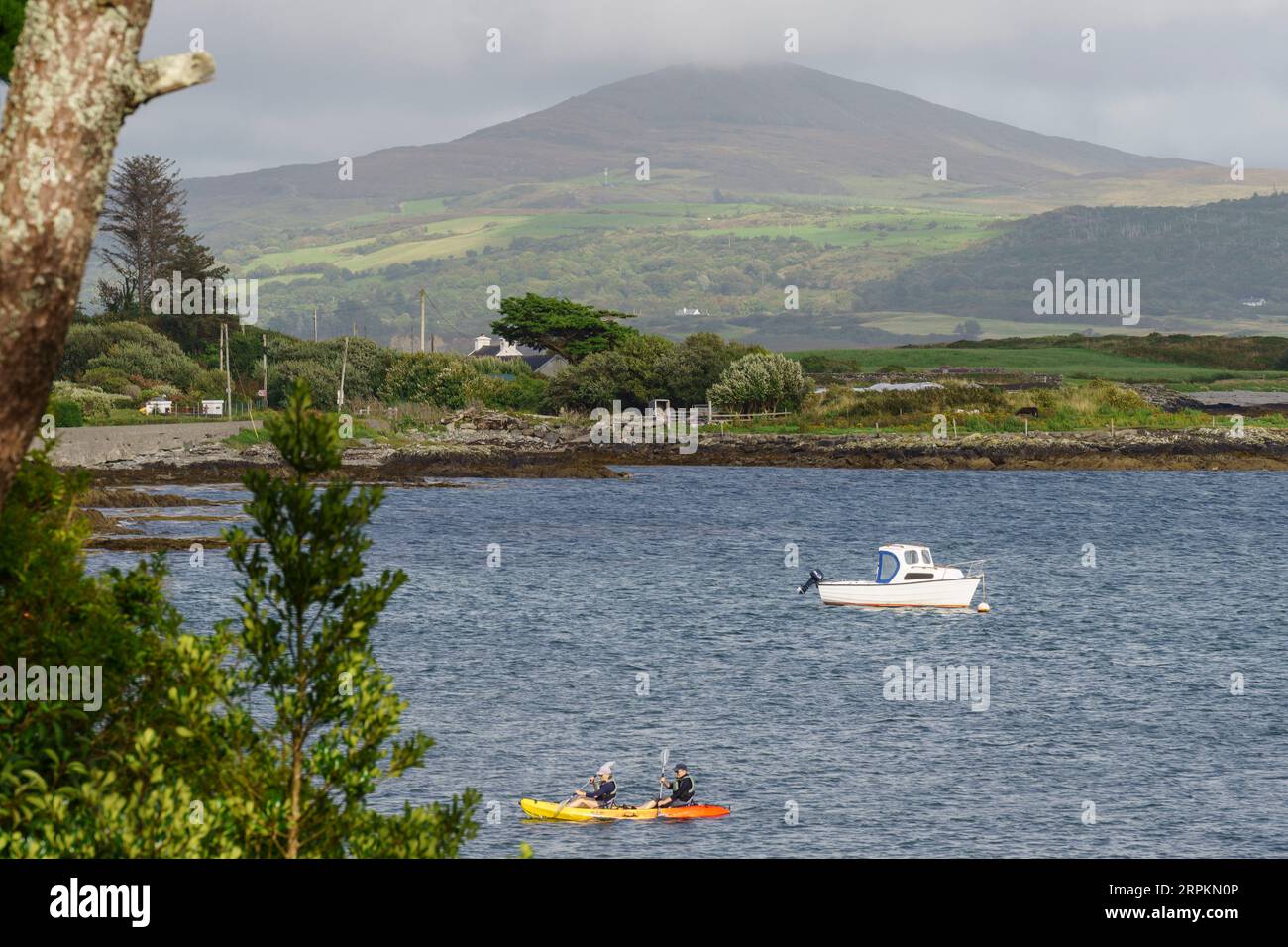 view of Dunmanus Bay from the Akahista bar, -Tin Pub -, Ahakista, Sheep ...