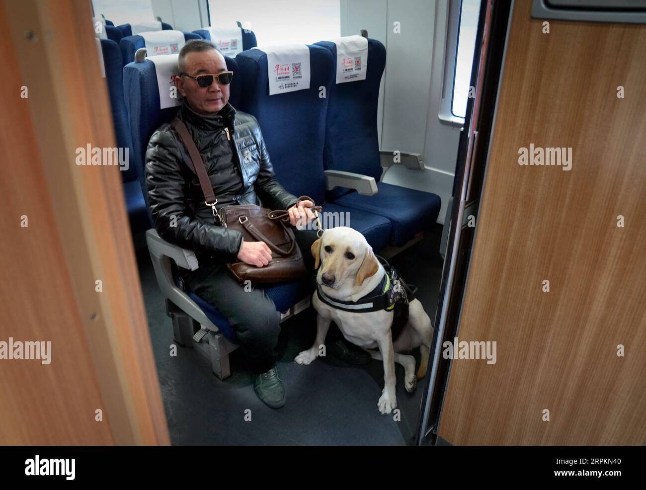 Guide dog train station hi-res stock photography and images - Alamy