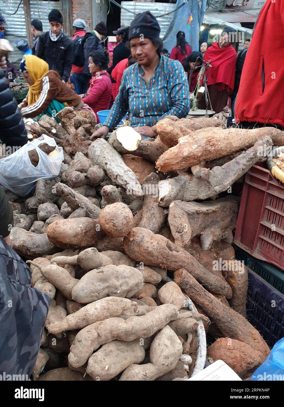 Tarul and maghe sankranti hi-res stock photography and images - Alamy