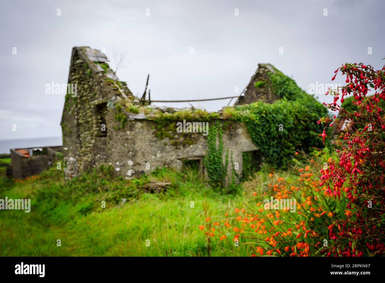 old houses, Eyeries, Beara Peninsula, County Cork, Ireland, United ...