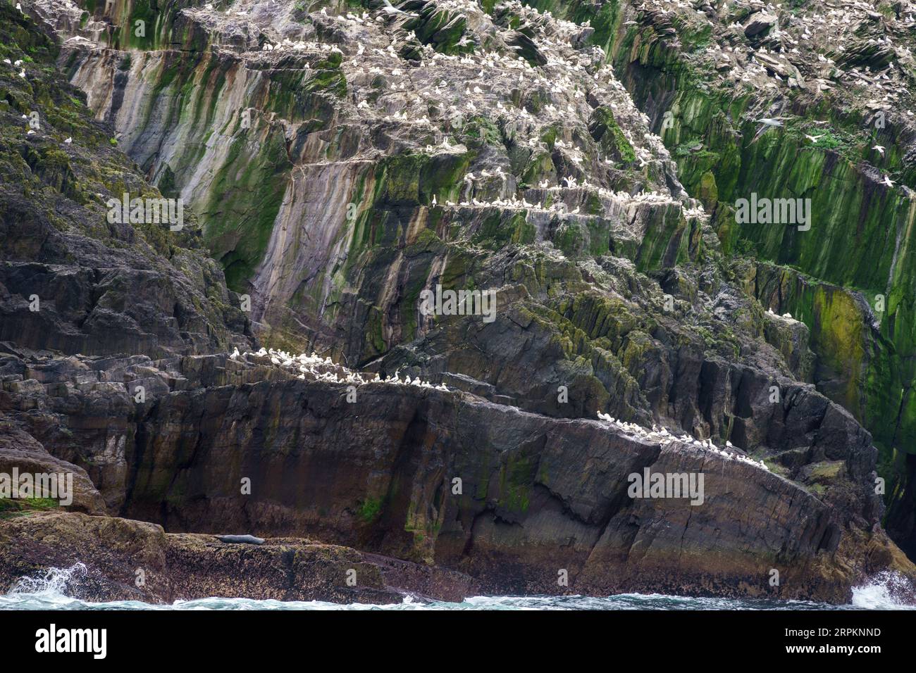 Skellig rock small hi-res stock photography and images - Alamy