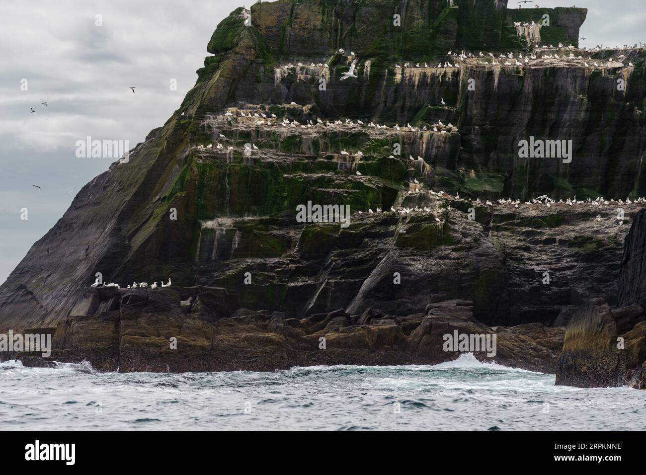 Sceilg Bheag , Skellig Rock Small, Ireland, United Kingdom Stock Photo ...