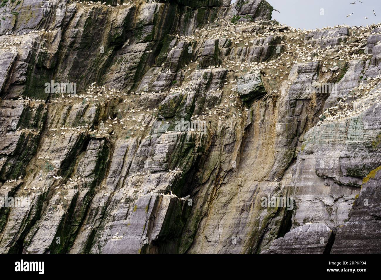 Skellig rock hi-res stock photography and images - Alamy