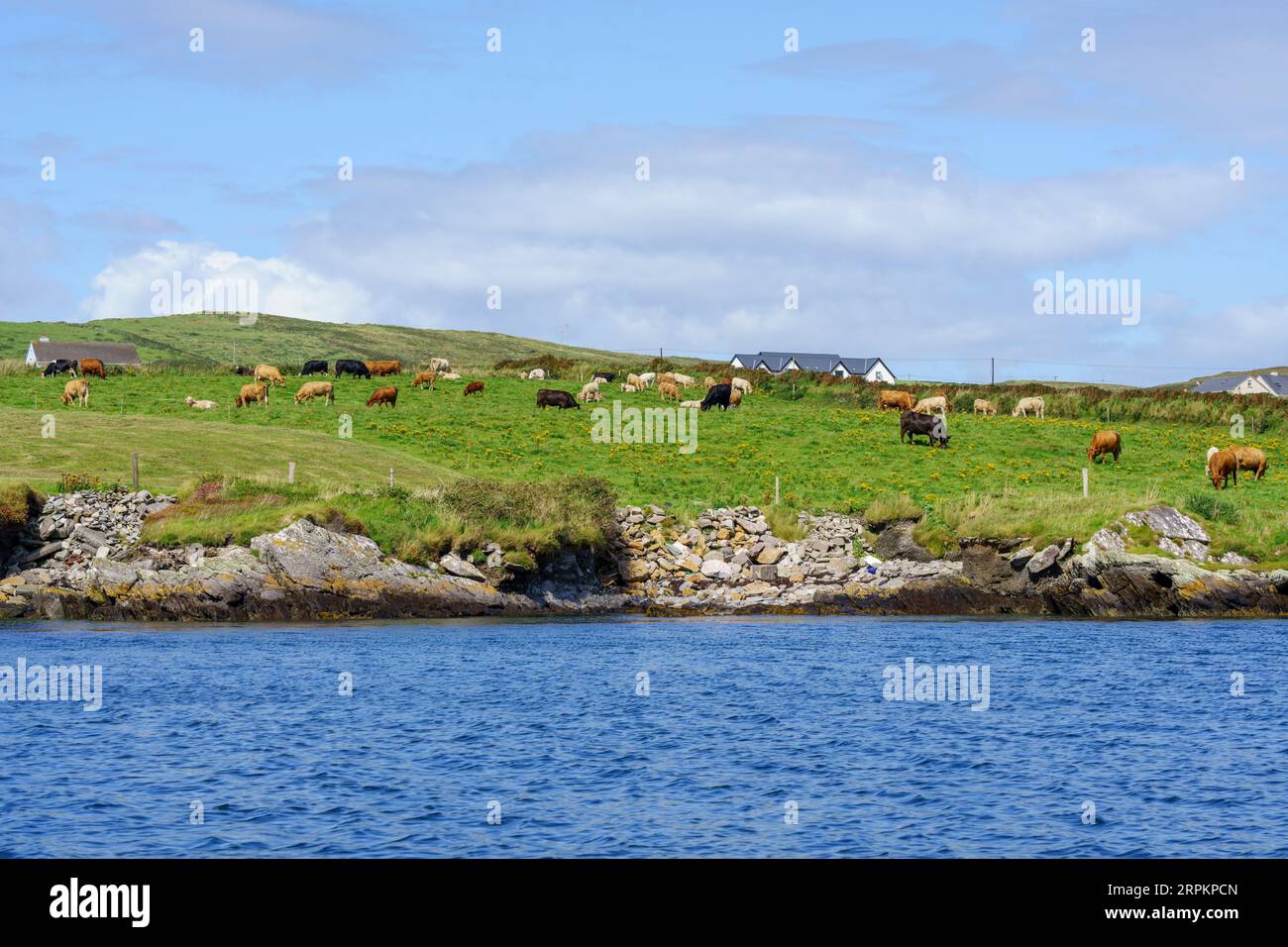coast of valentia island, Portmagee, Ring of Kerry, County Kerry ...