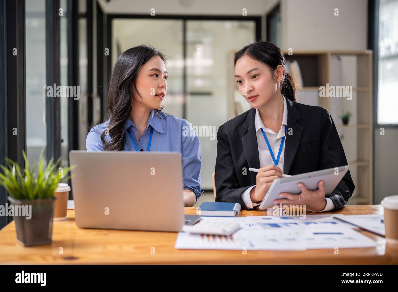 Female Accountants At Work