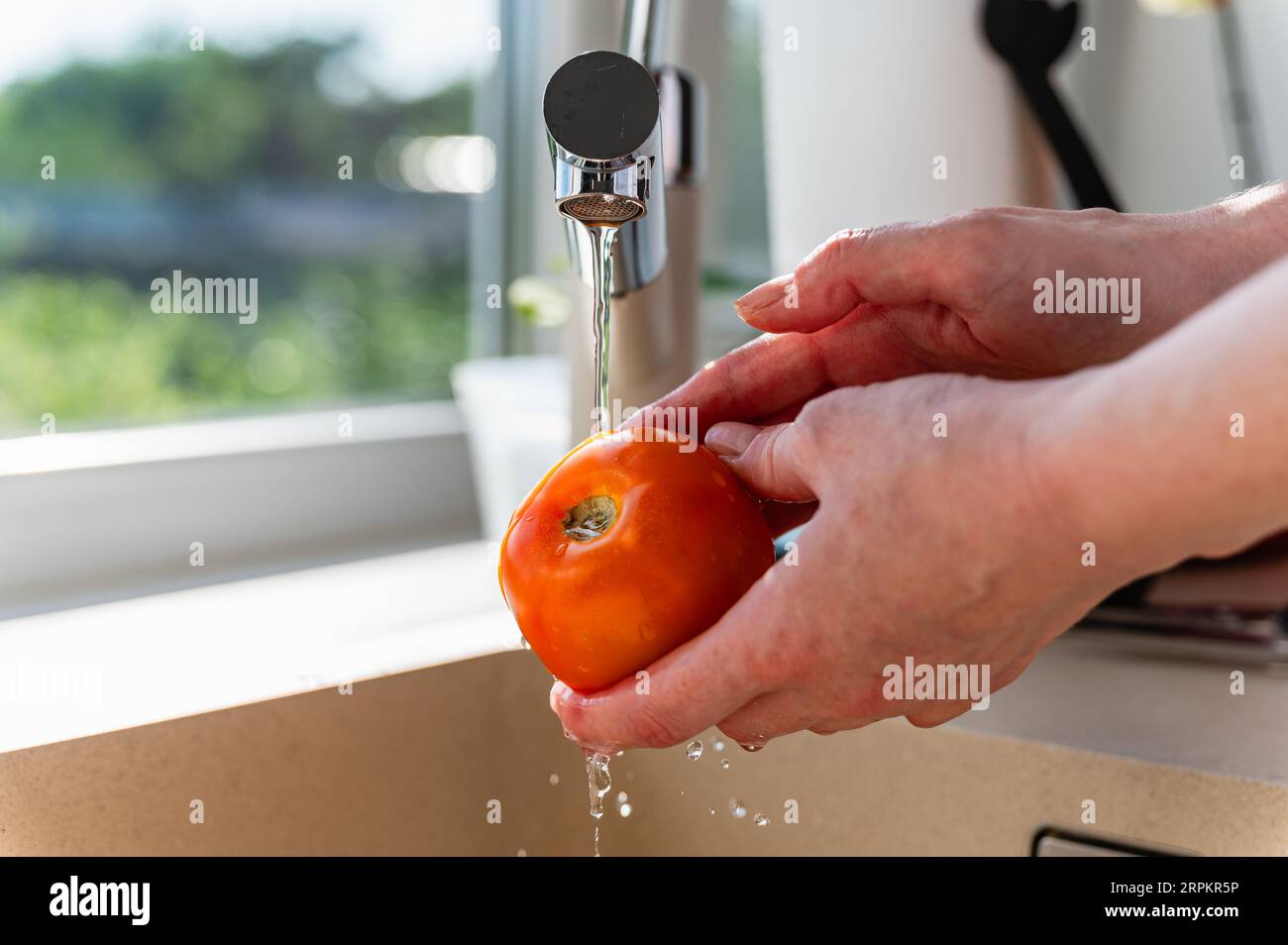 Hands washing ripe tomatoes hi-res stock photography and images - Alamy