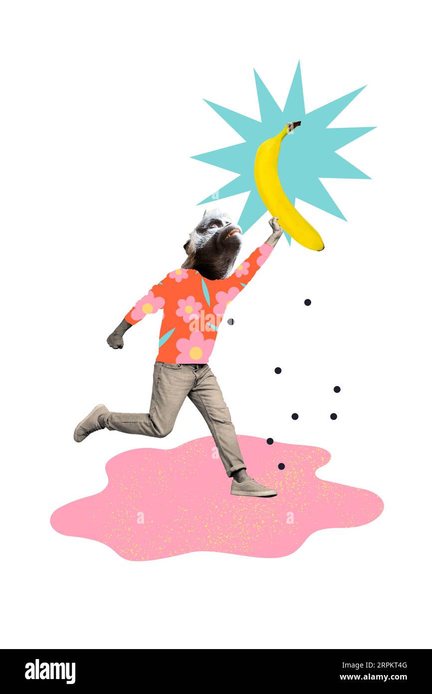 Vertical collage photo illustration of unusual character headless ...