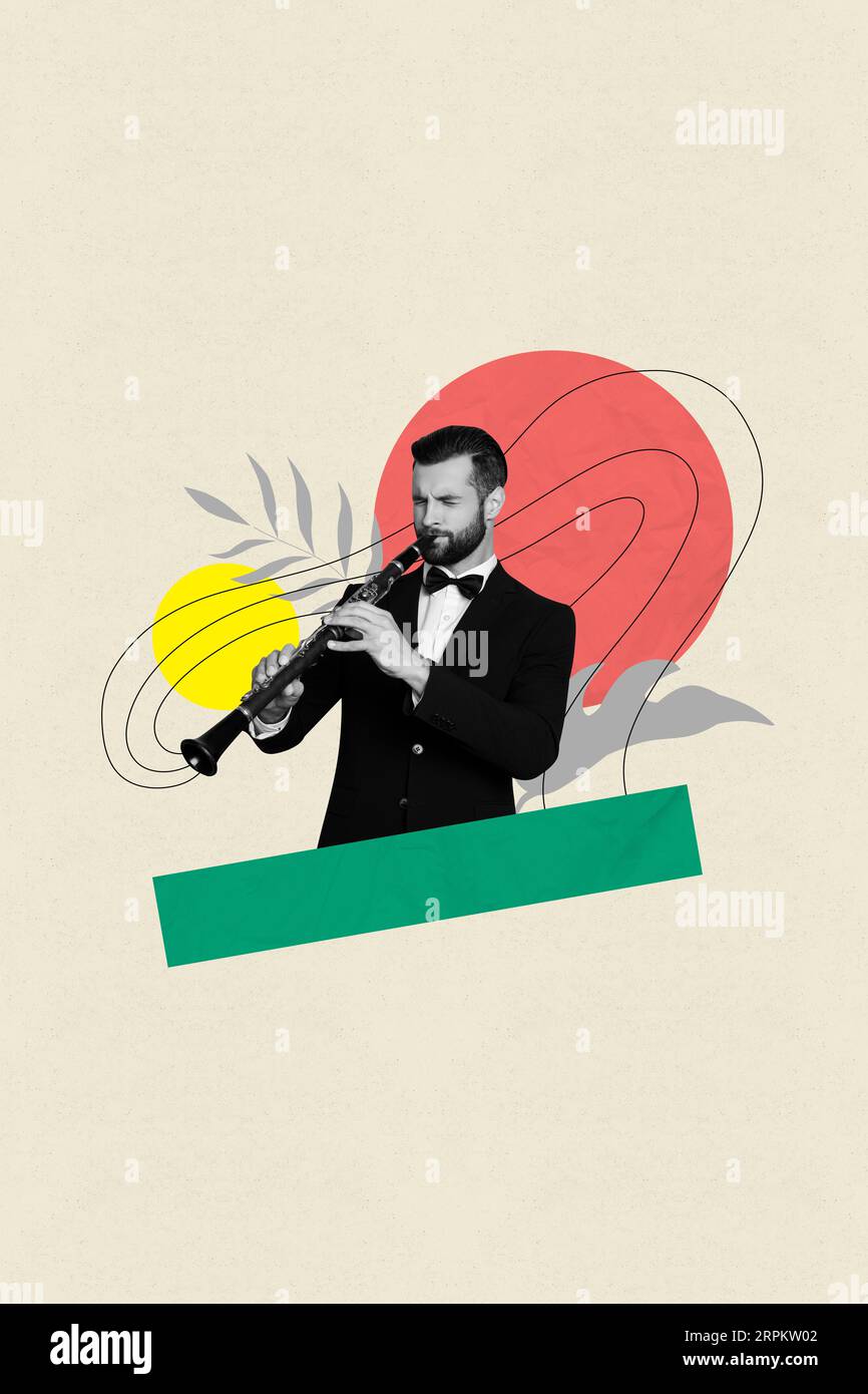 Vertical creative composite abstract photo collage of handsome musician ...