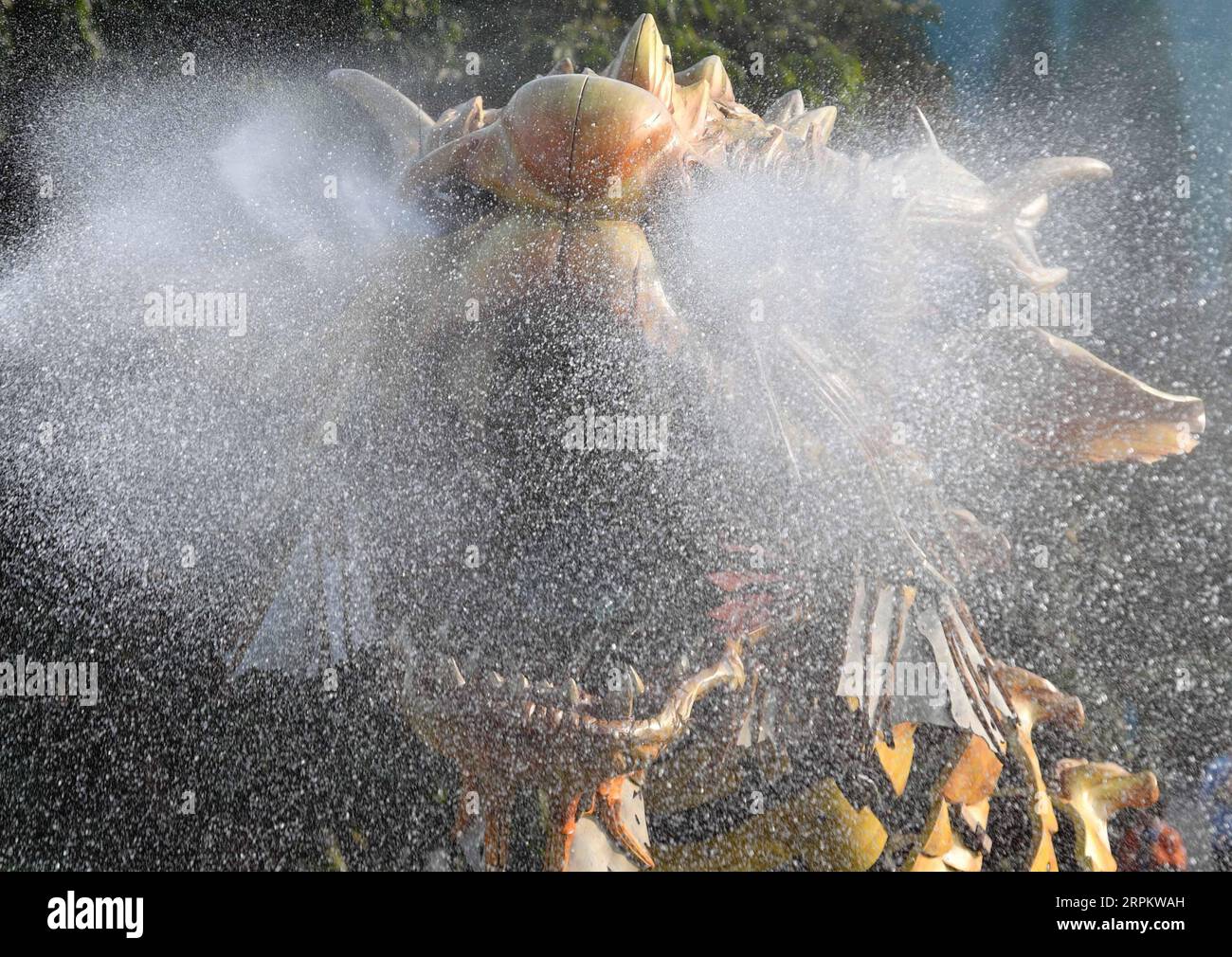 Blinking photo hi-res stock photography and images - Alamy