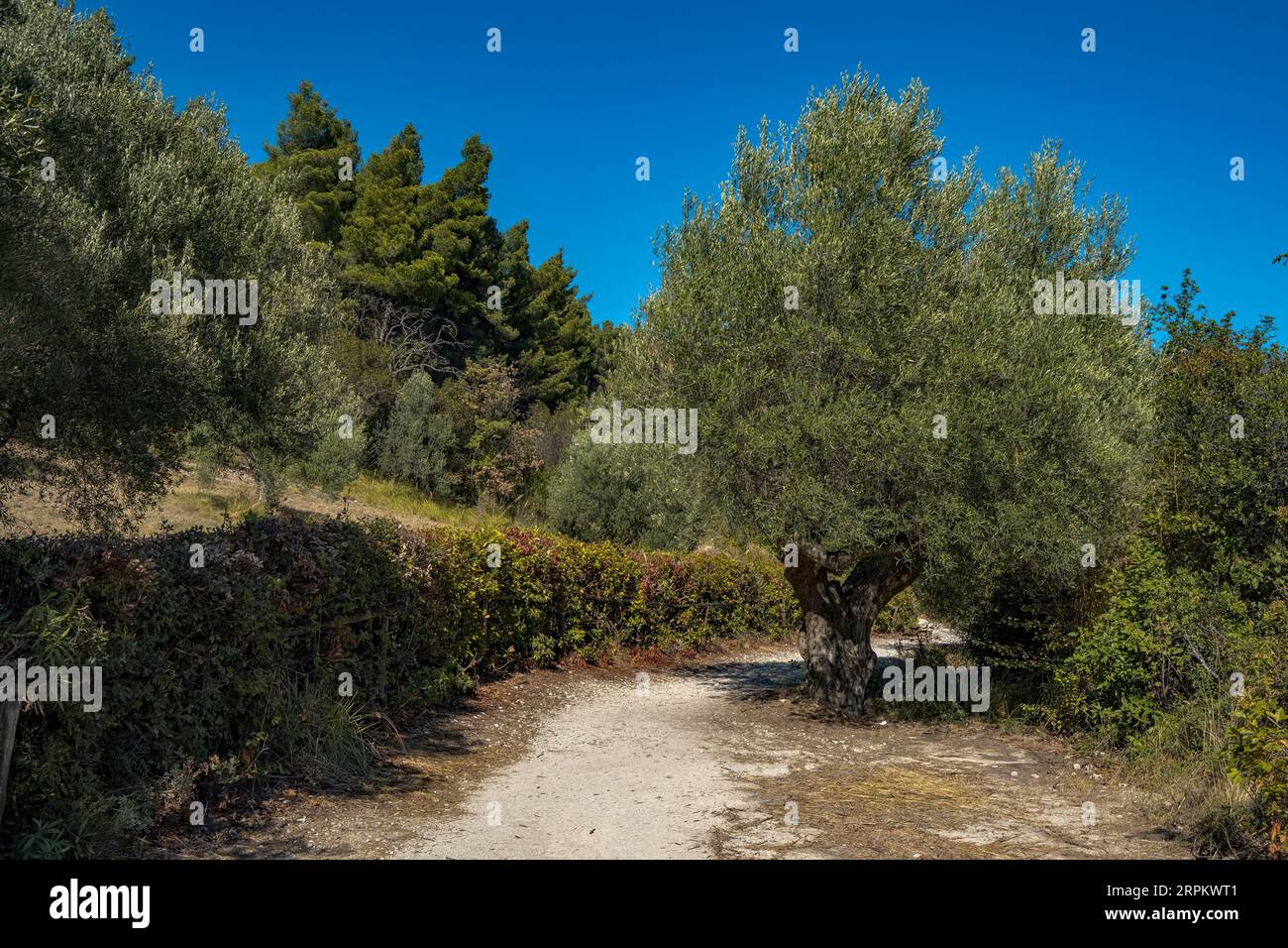 View of the Conero Riviera in the Marche region, Italy Stock Photo - Alamy