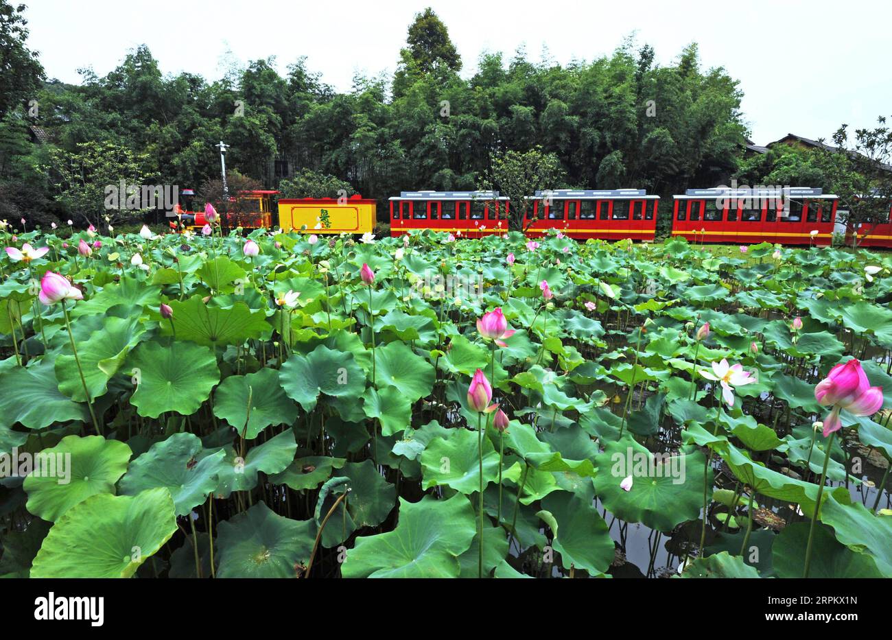 China zhejiang gdp growth hi-res stock photography and images - Alamy